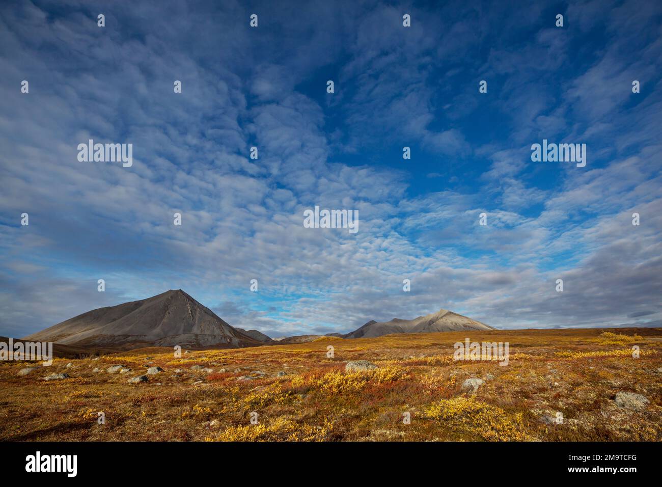 Tundra landscapes above Arctic circle Stock Photo - Alamy