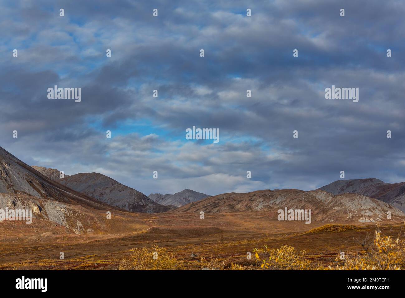 Tundra landscapes above Arctic circle Stock Photo - Alamy