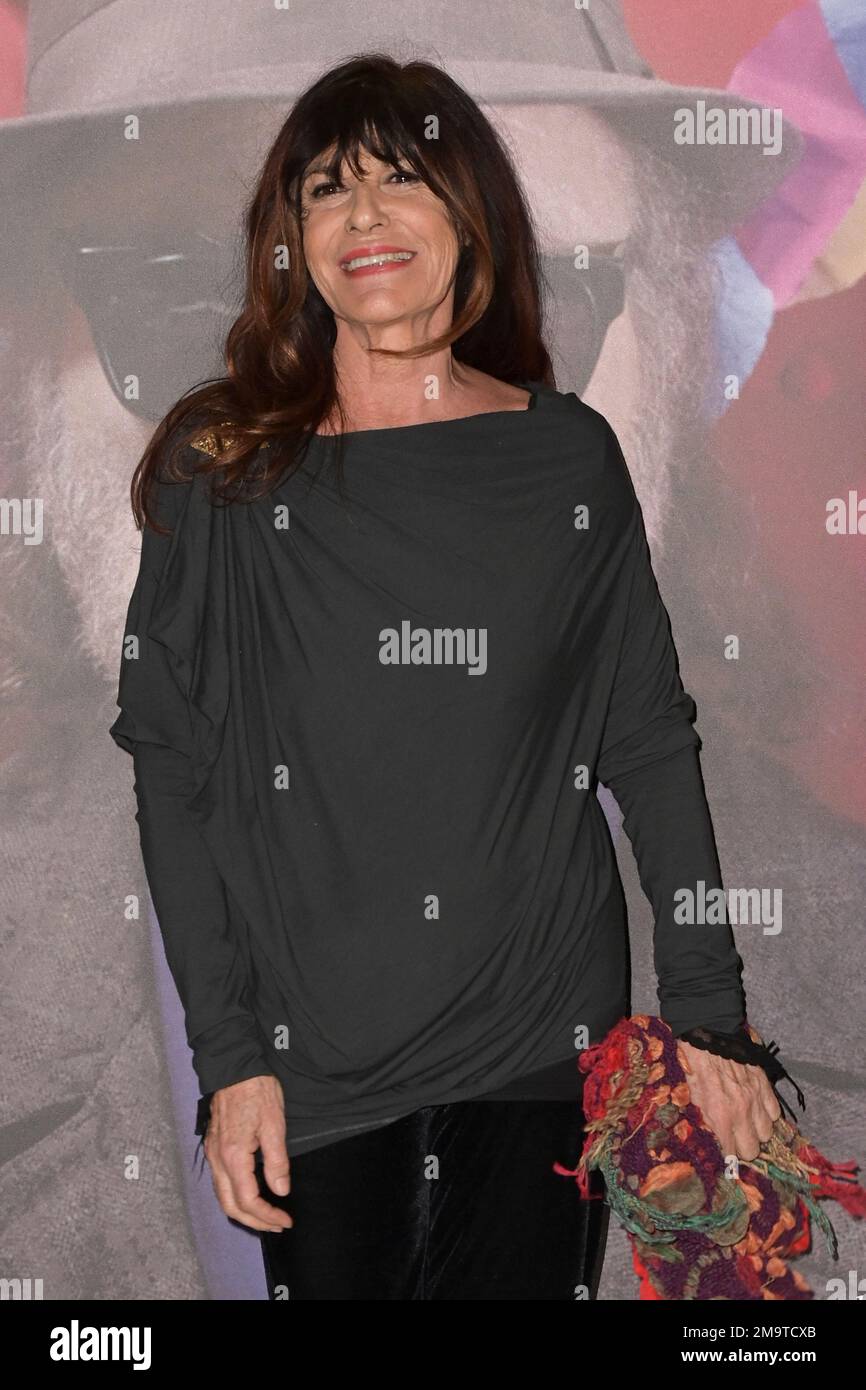 Rome, Italy. 18th Jan, 2023. Mita Medici attends the red carpet of the ...