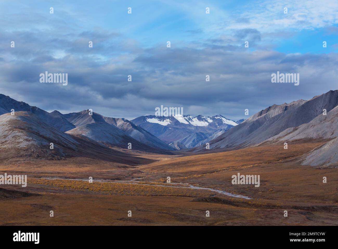 Tundra landscapes above Arctic circle Stock Photo - Alamy