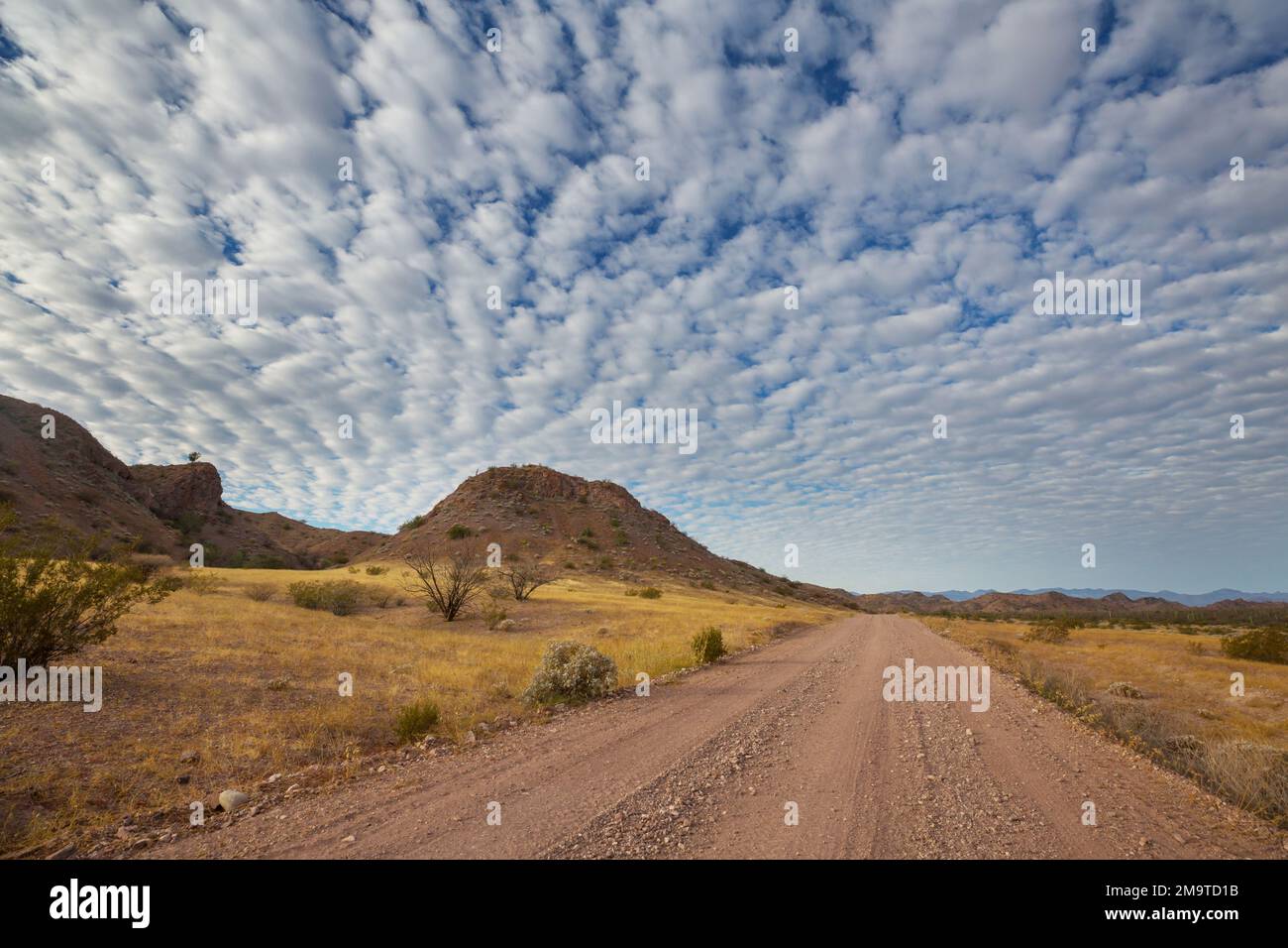 Beautiful natural landscapes in Baja California, Mexico Stock Photo - Alamy
