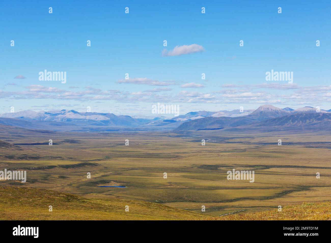 Tundra landscapes above Arctic circle Stock Photo - Alamy