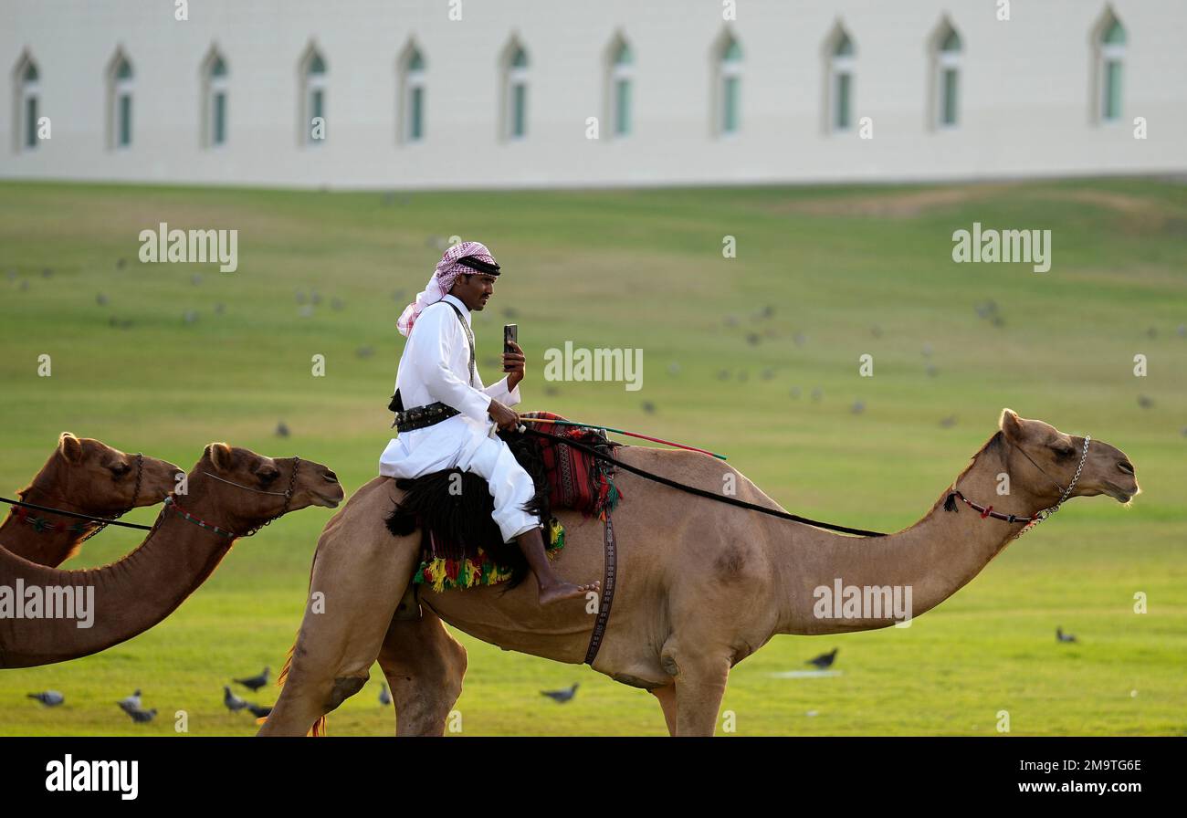 A Royal guard with a mobile phone patrols on a camel near the Qatar ...