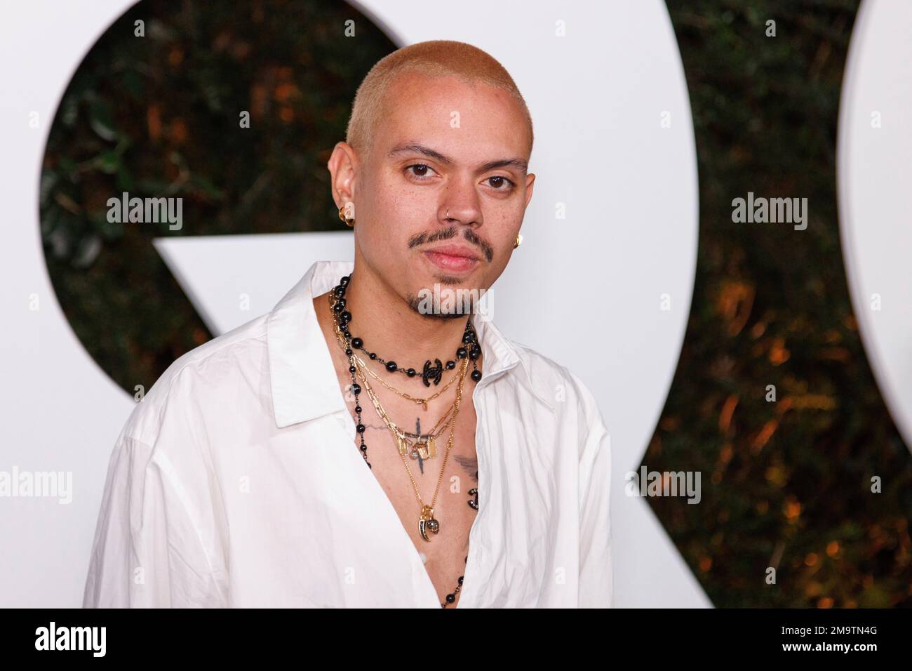 Evan Ross 2022