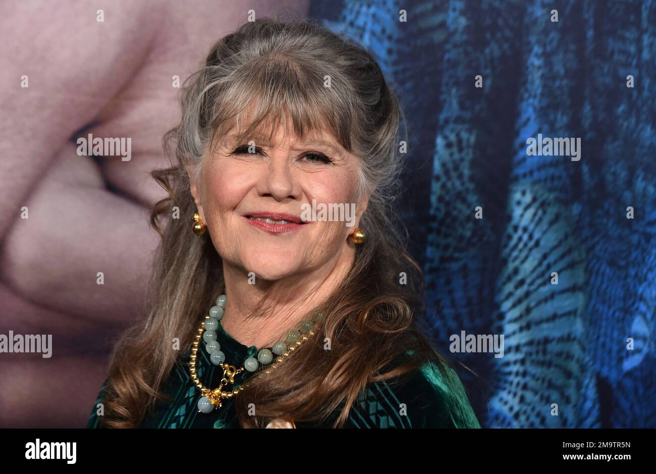 Judith Ivey arrives at the Los Angeles premiere of "Women Talking ...
