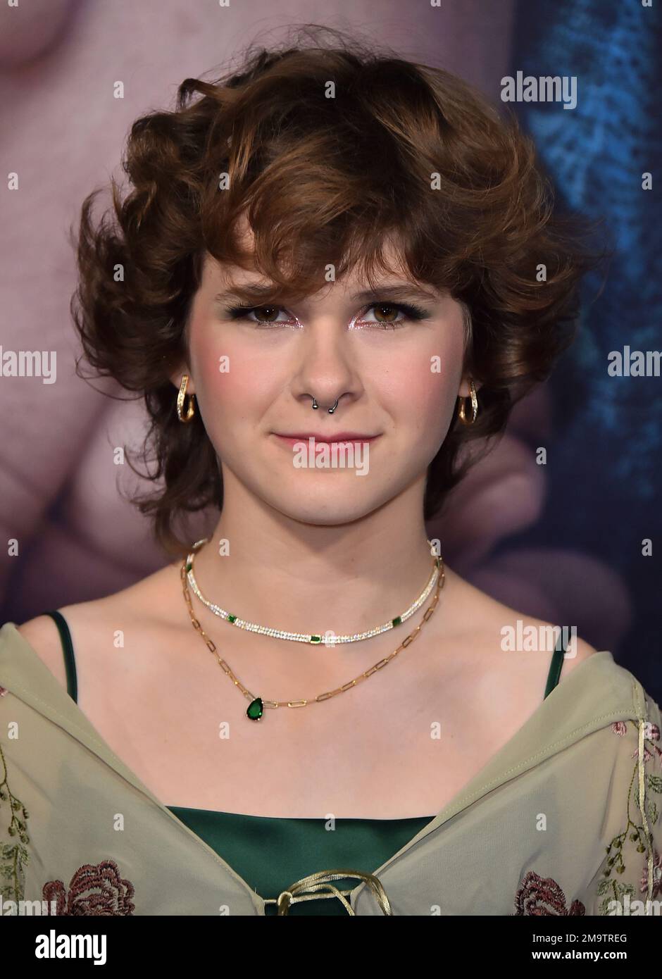 Liv McNeil arrives at the Los Angeles premiere of "Women Talking ...