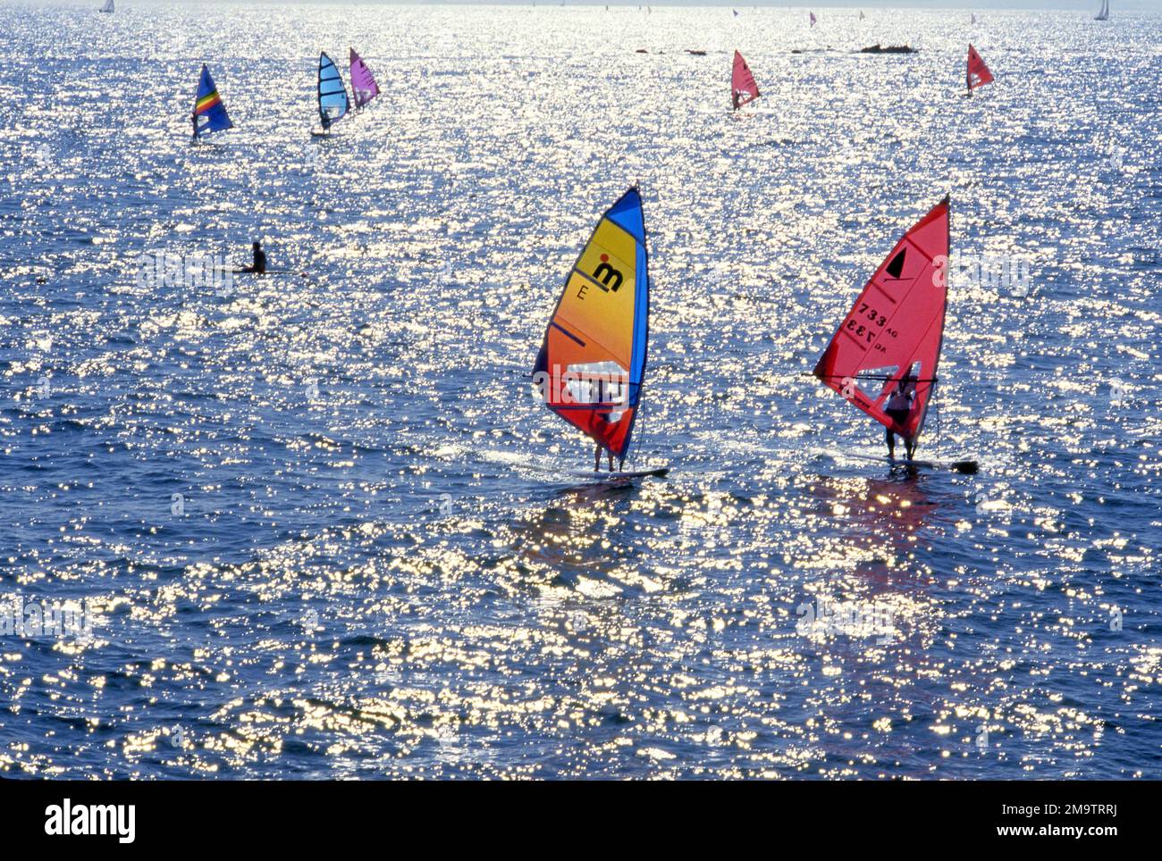 Windsurfers, Santa Monica, California Stock Photo - Alamy