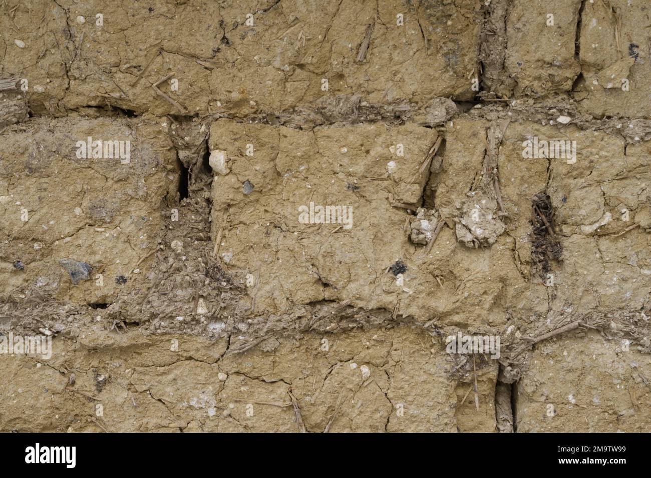 Old clay lump house wall, exposed during renovation Stock Photo - Alamy