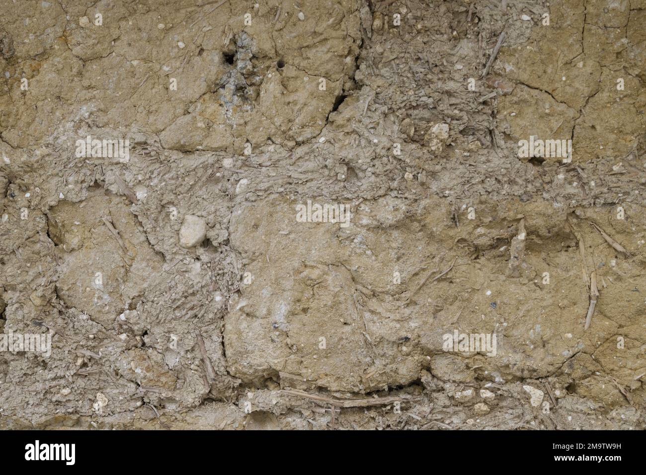 Old clay lump house wall, exposed during renovation Stock Photo - Alamy