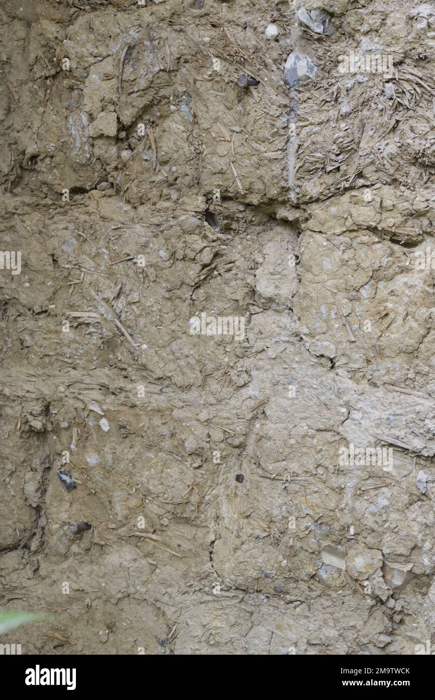 Old clay lump house wall, exposed during renovation Stock Photo - Alamy