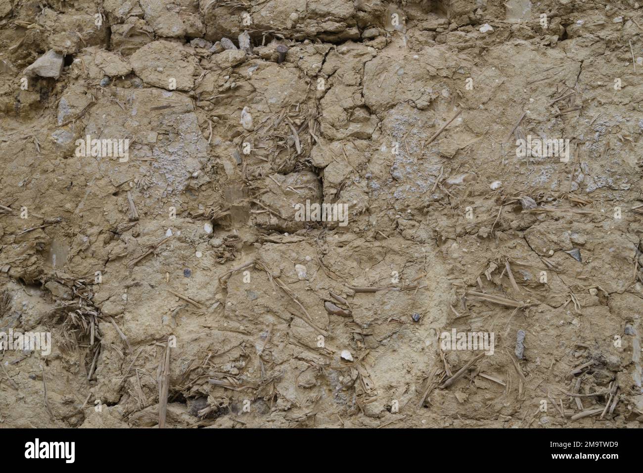 Old clay lump house wall, exposed during renovation Stock Photo - Alamy