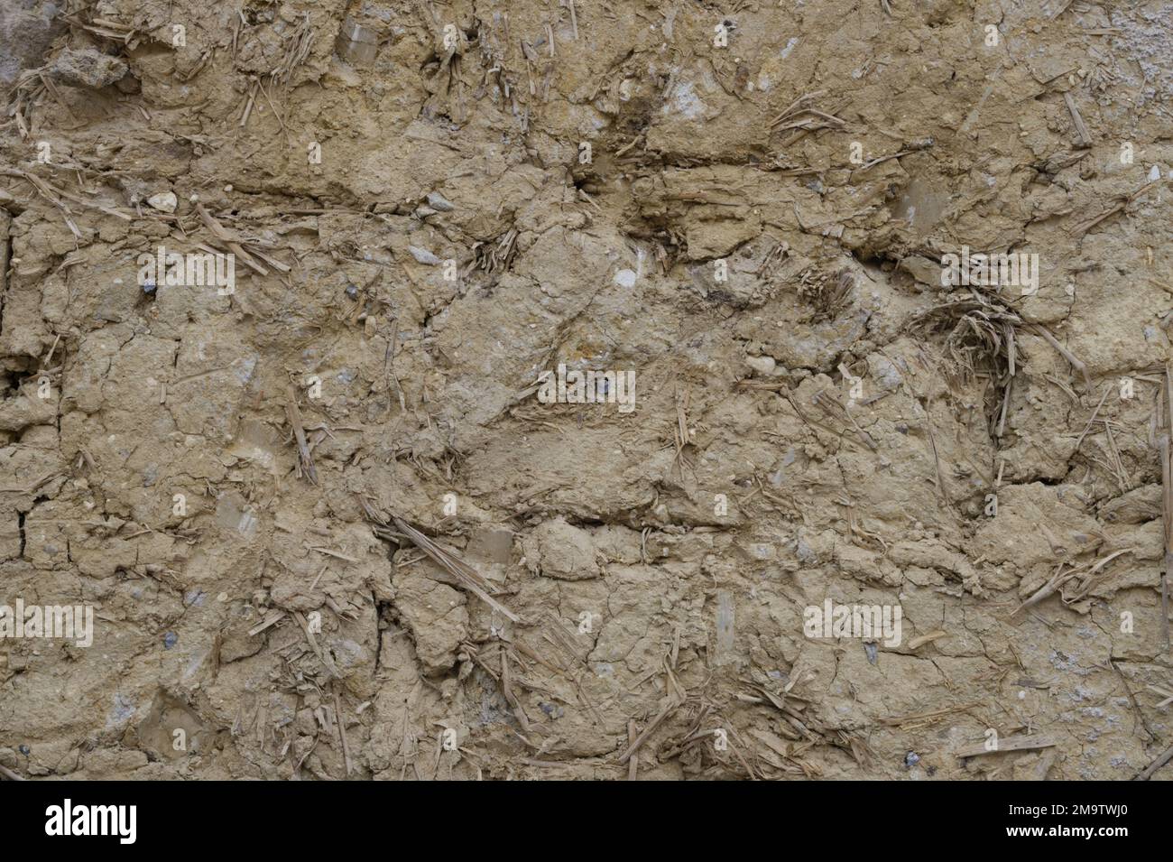 Old clay lump house wall, exposed during renovation Stock Photo - Alamy
