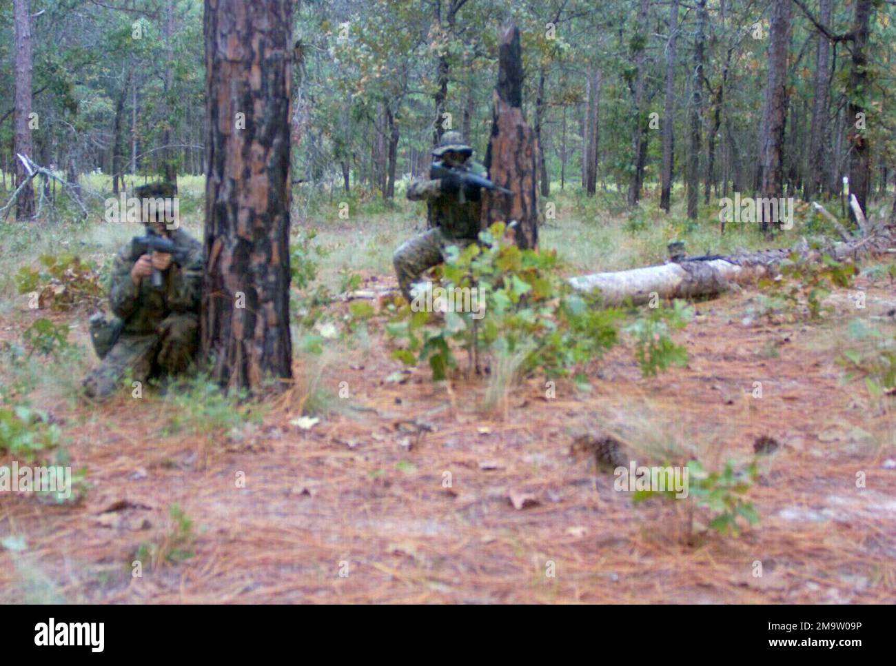 US Marine Corps (USMC) Marines armed with 5.56mm M16A2 rifles ...