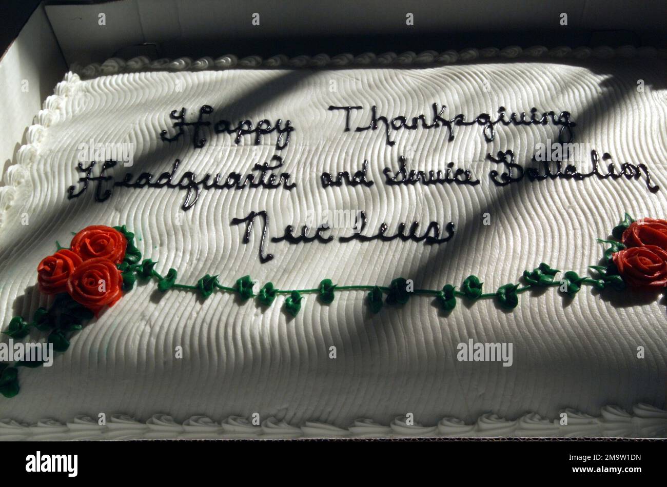031121-M-4697Y-006. Shot of a cake US Marine Corps (USMC) Marines will ...