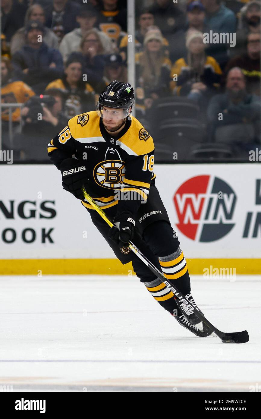Boston Bruins' Pavel Zacha during the second period of an NHL hockey ...