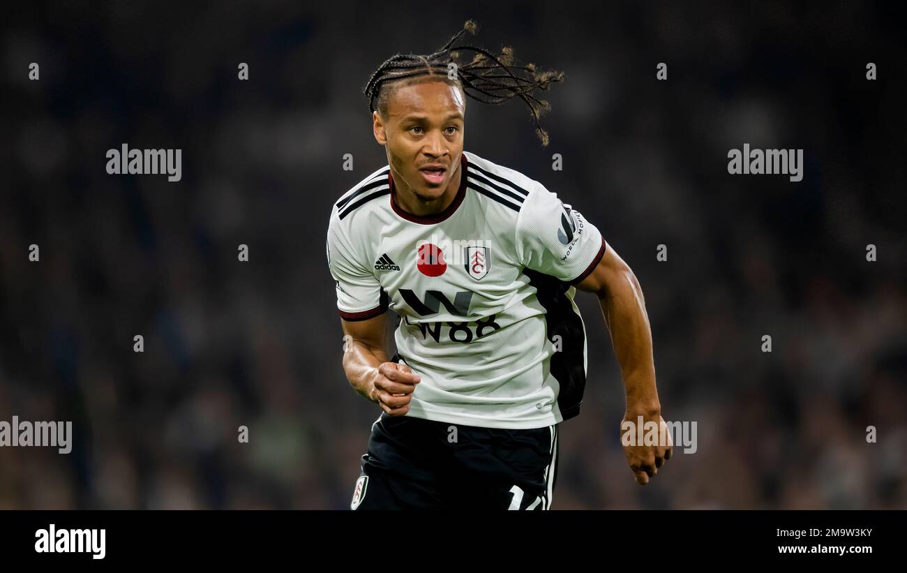 Fulham's Bobby Reid during the Premier League soccer match between ...