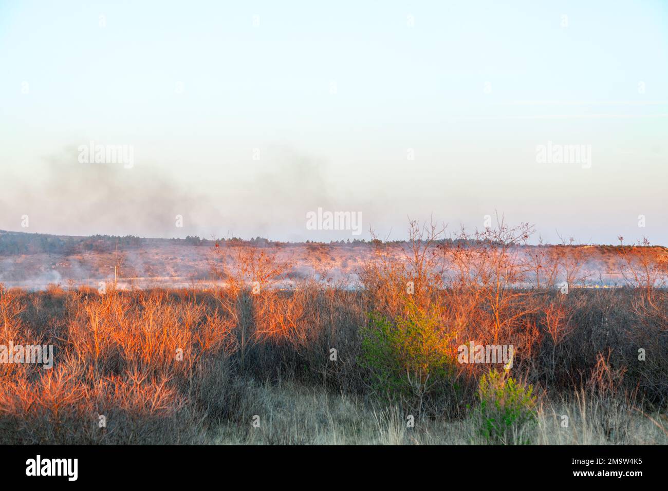 Wildfire in spring forest burning hi-res stock photography and images ...