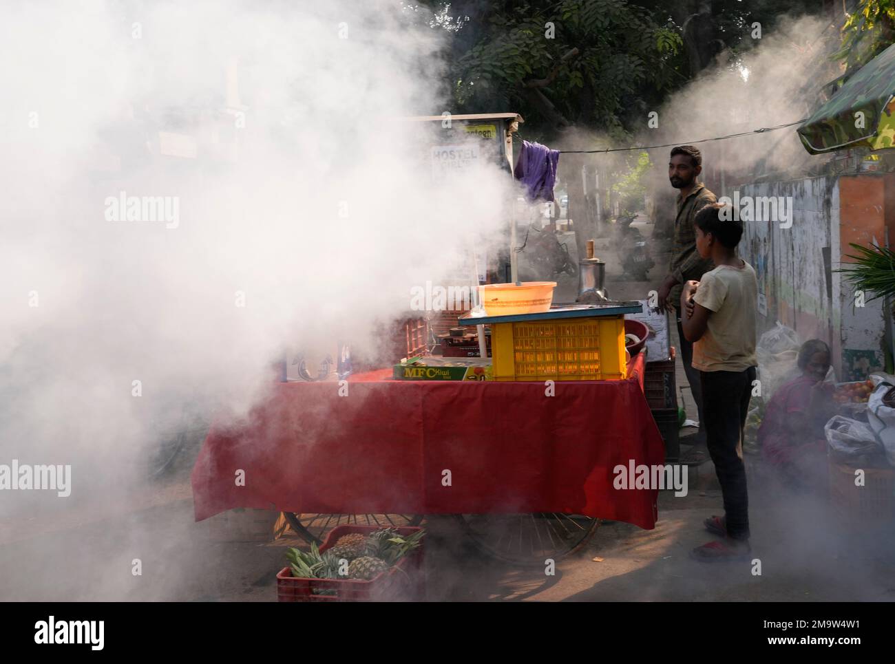 Smoke envelops a food vendor's cart as fumigation is carried out to ...