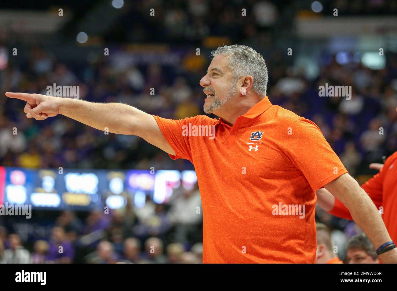 Indy _9 of 14_ jpg hi-res stock photography and images - Alamy