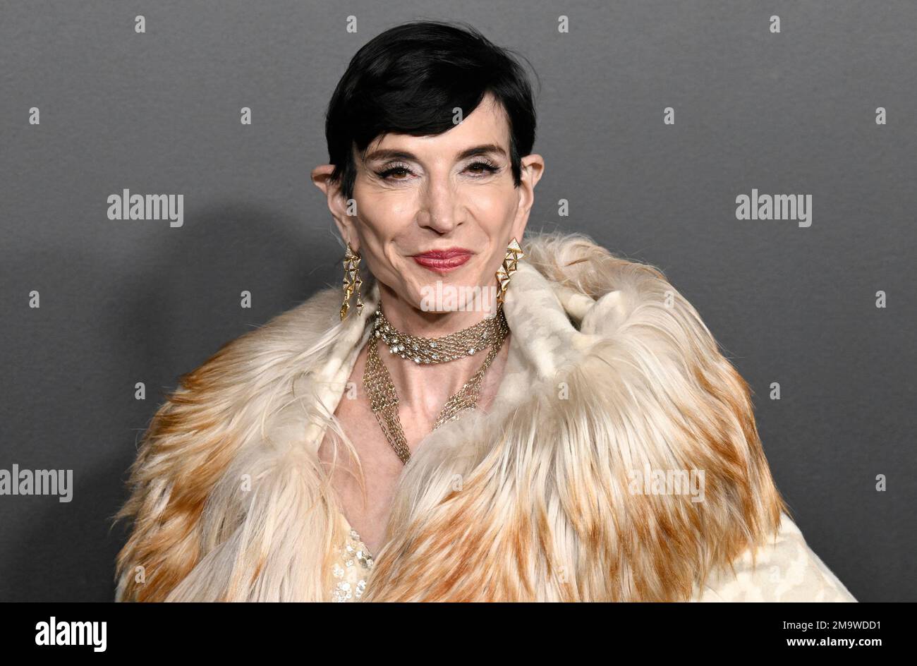 Amy Fine Collins attends the "Thierry Mugler: Couturissime" Brooklyn ...