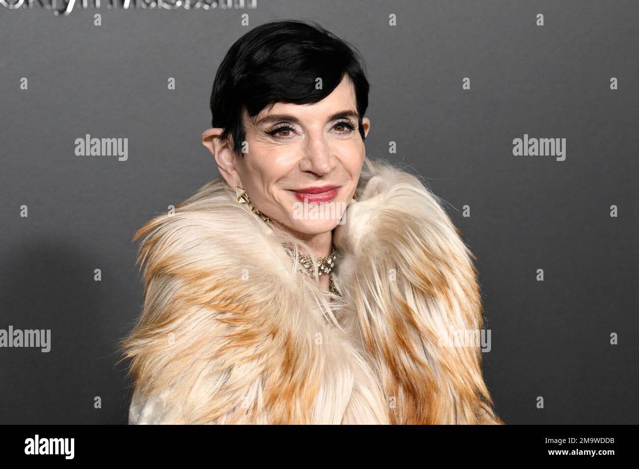 Amy Fine Collins attends the "Thierry Mugler: Couturissime" Brooklyn ...