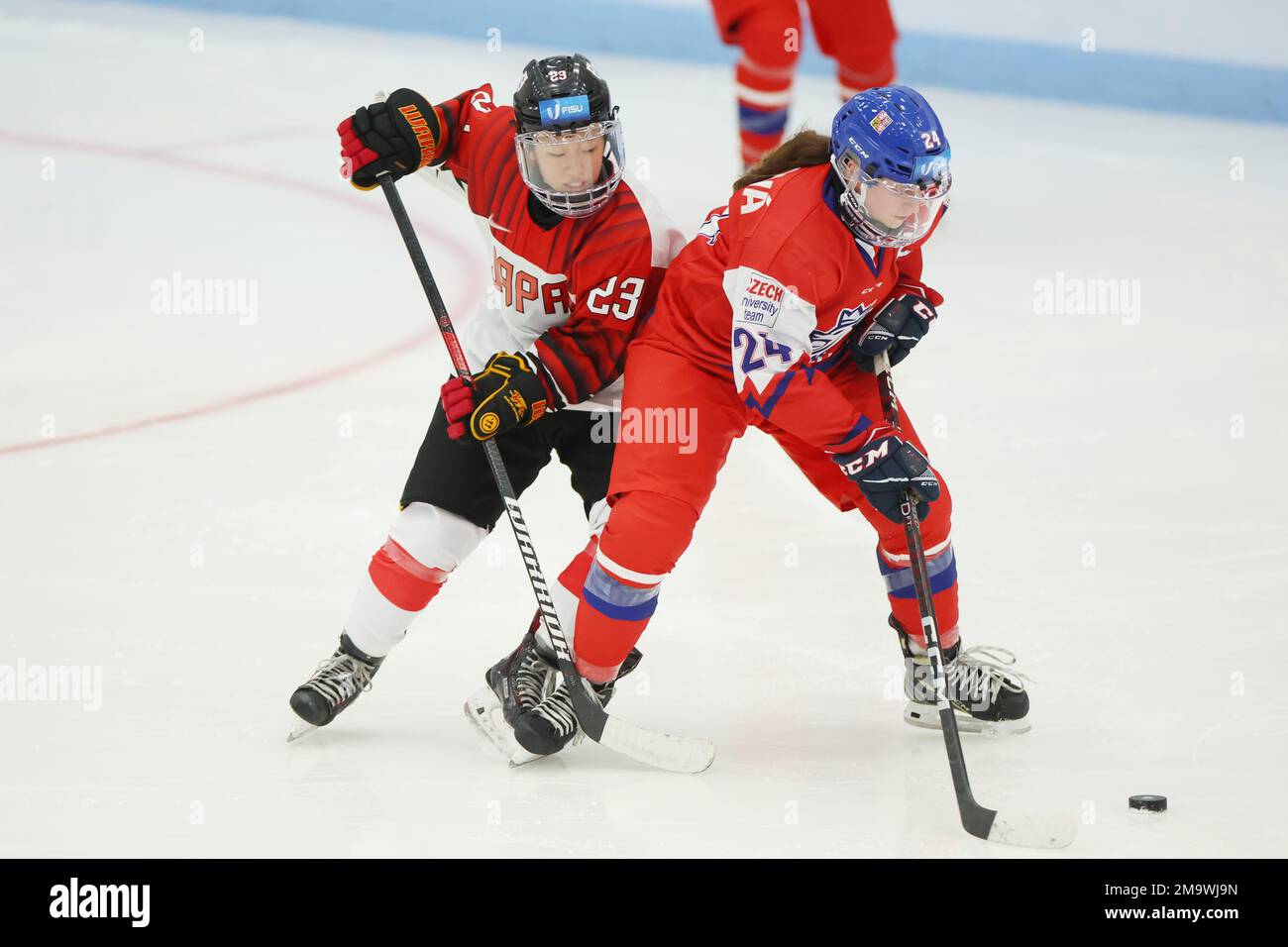 Chihiro suzuki hi-res stock photography and images - Alamy