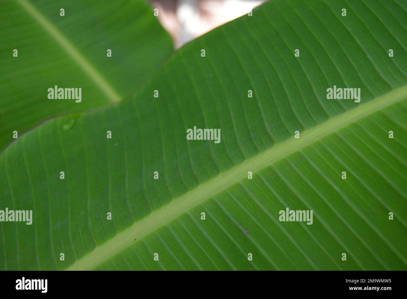 Food pacakging hi-res stock photography and images - Alamy