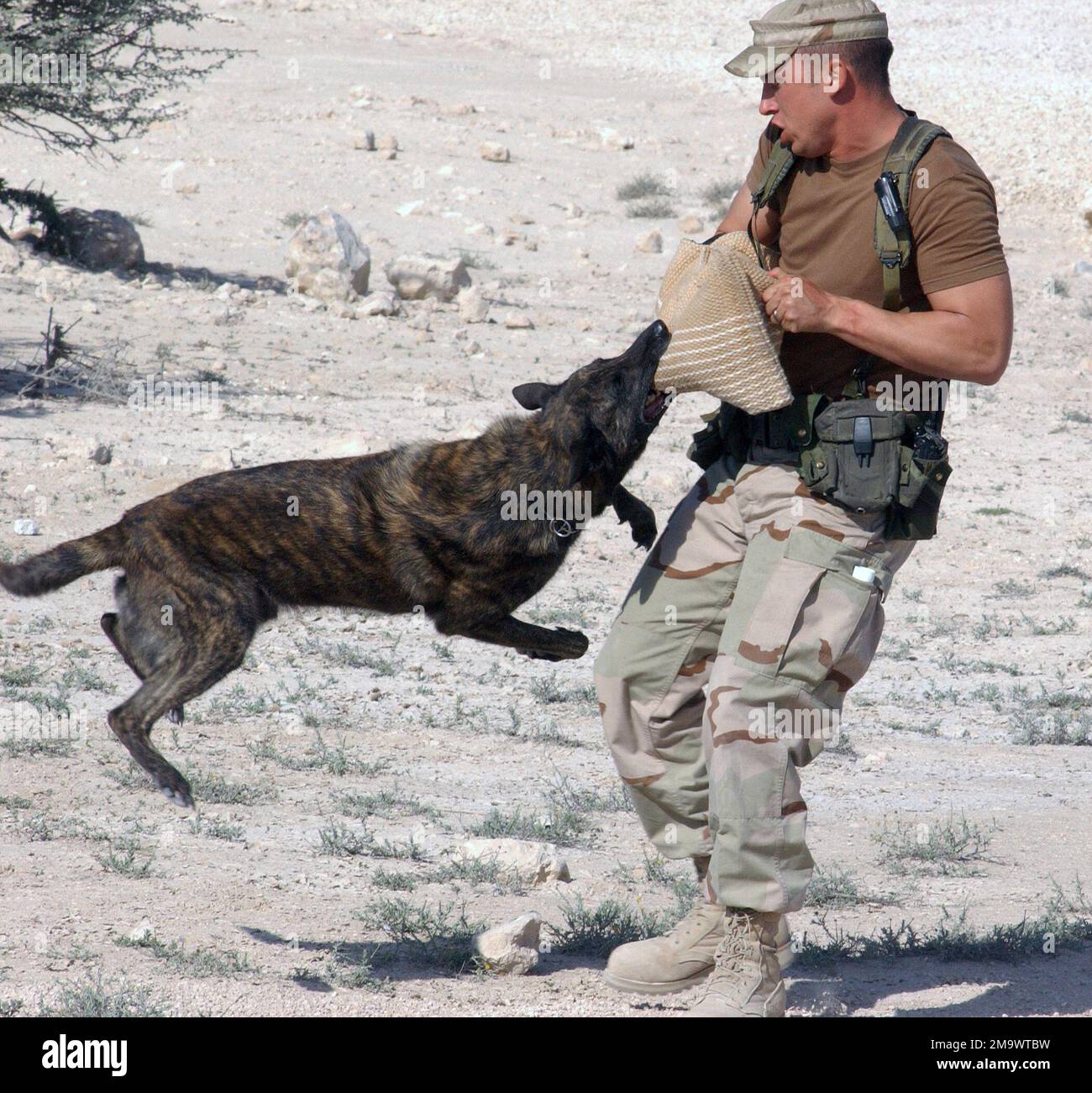 040101-F-6449C-002. Country: Unknown Scene Major Command Shown: USAFE ...