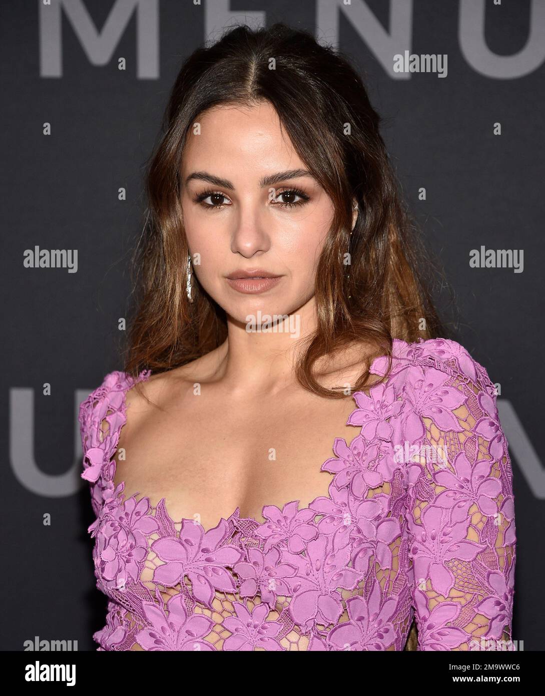 Aimee Carrero attends the premiere of "The Menu" at AMC Lincoln Square ...
