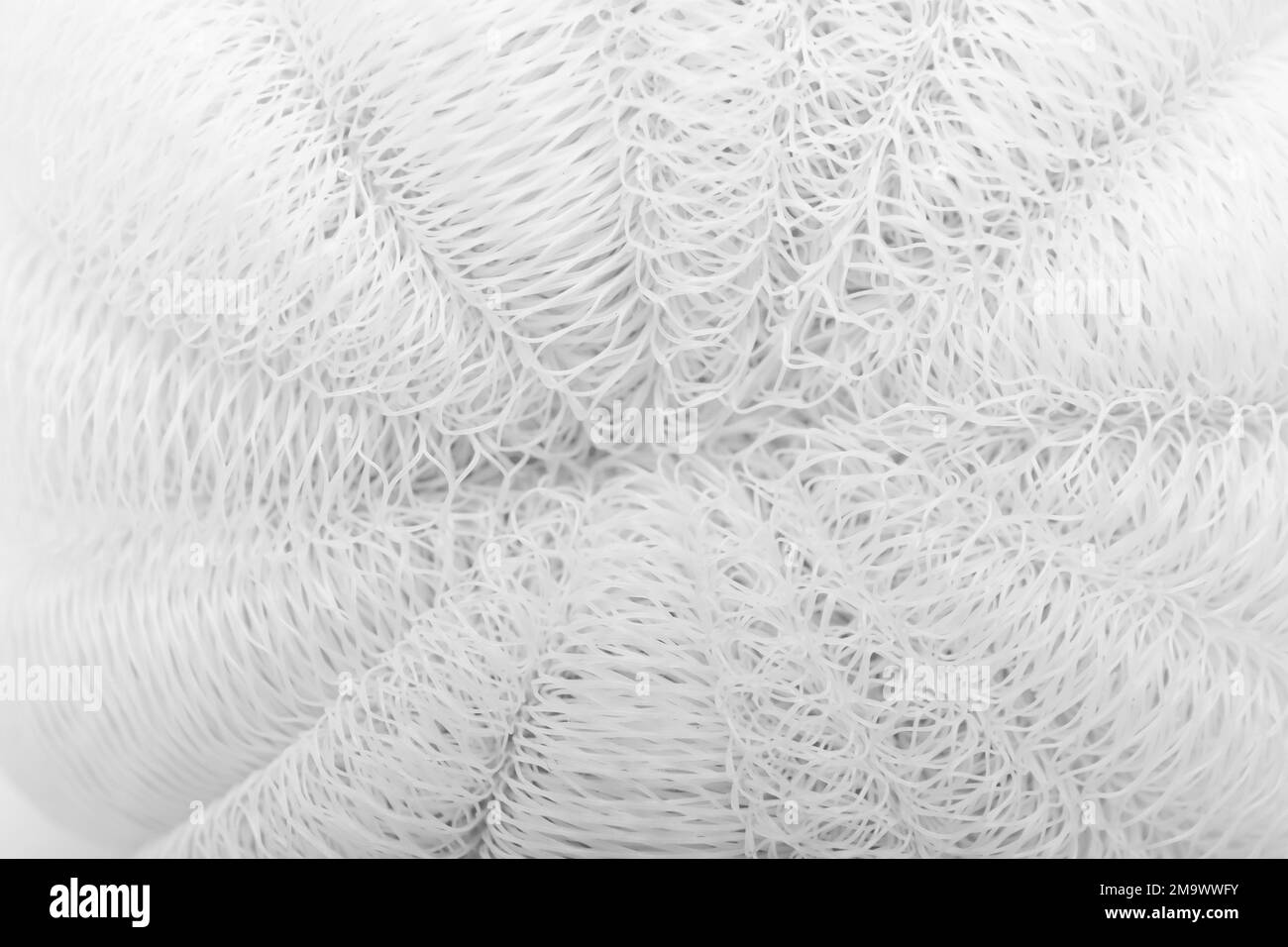 Texture of white loofah as background, closeup Stock Photo - Alamy