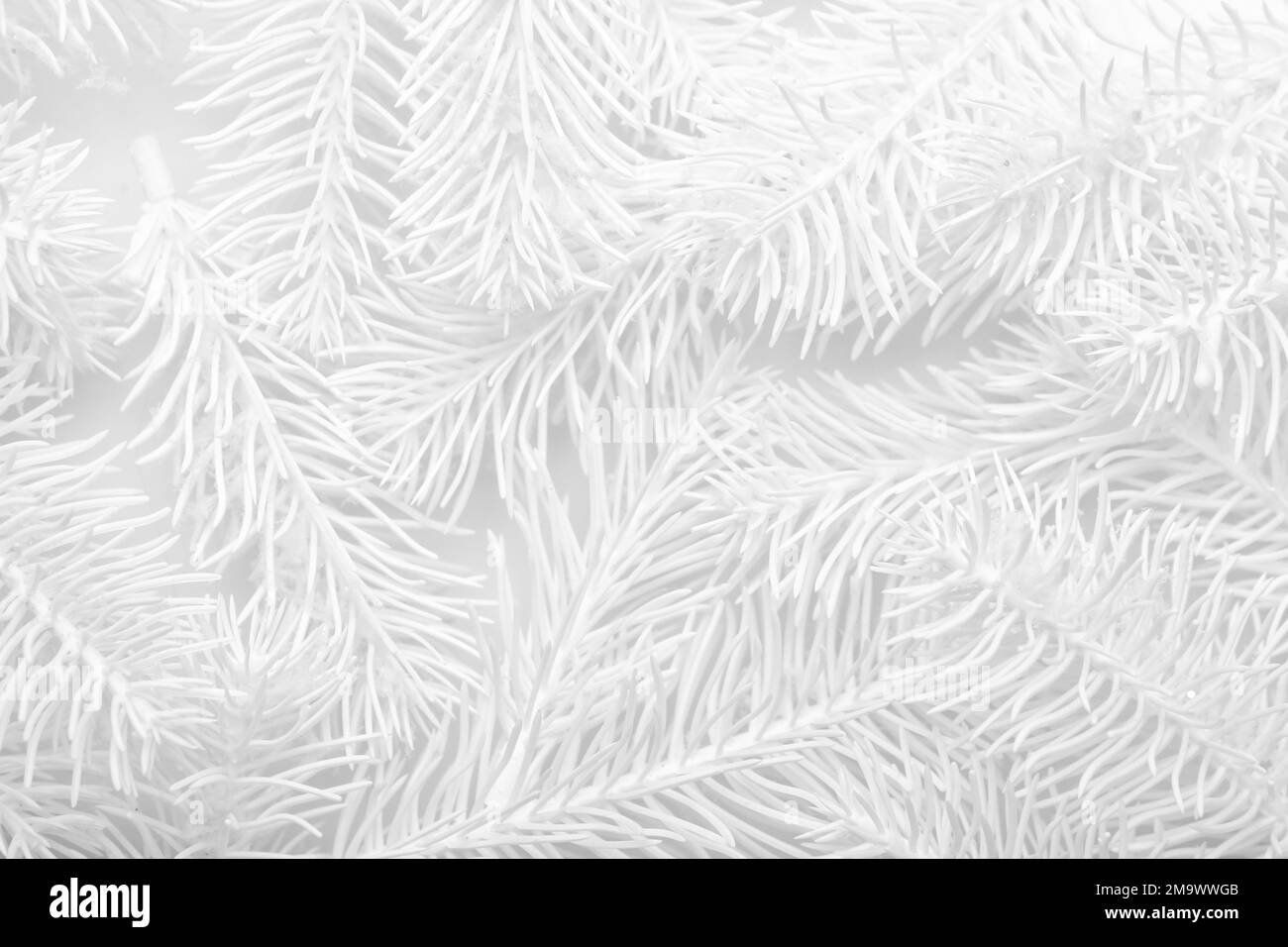 Christmas background mockup christmas Black and White Stock Photos ...