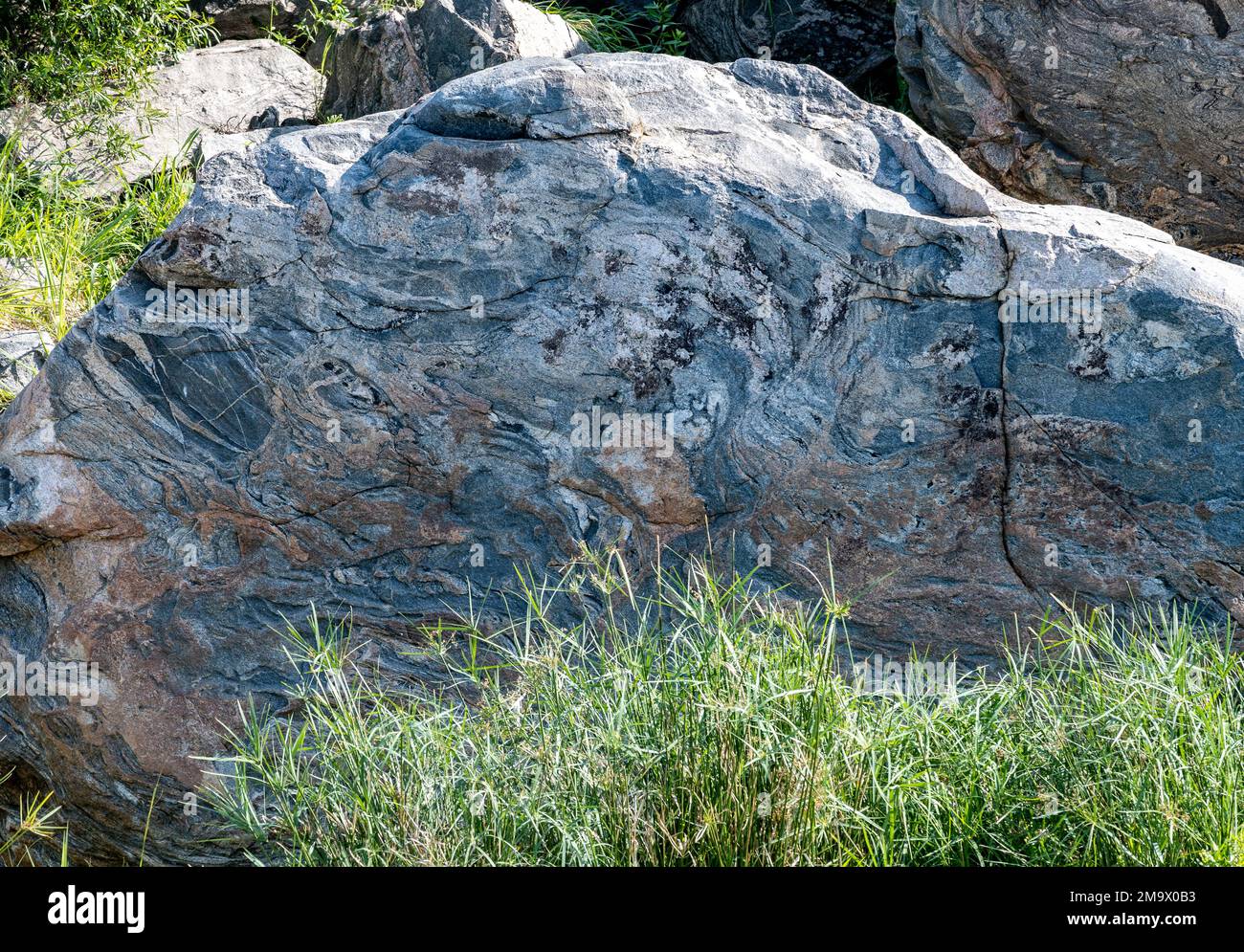 Rock outcrop of Archean gneiss. Kruger National Park, South Africa ...
