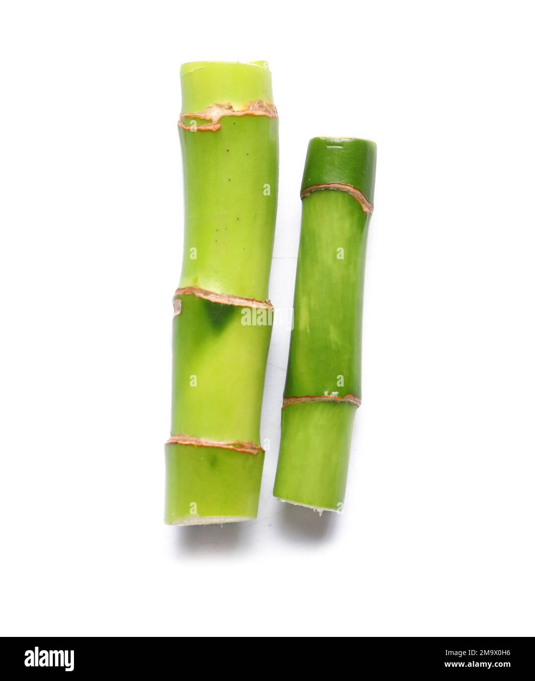 Green branches of bamboo isolated on white background Stock Photo - Alamy