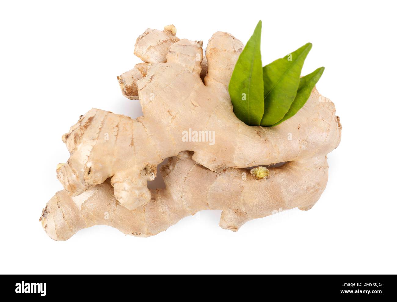 Fresh ginger roots and leaves on white background Stock Photo - Alamy
