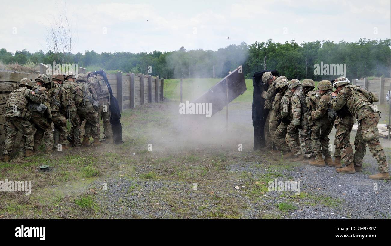 Soldiers of the 1036th Engineer Company, a Light Sapper Company ...