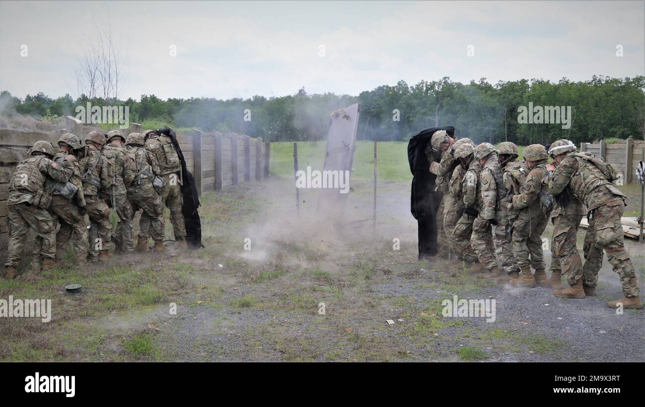 Soldiers of the 1036th Engineer Company, a Light Sapper Company ...