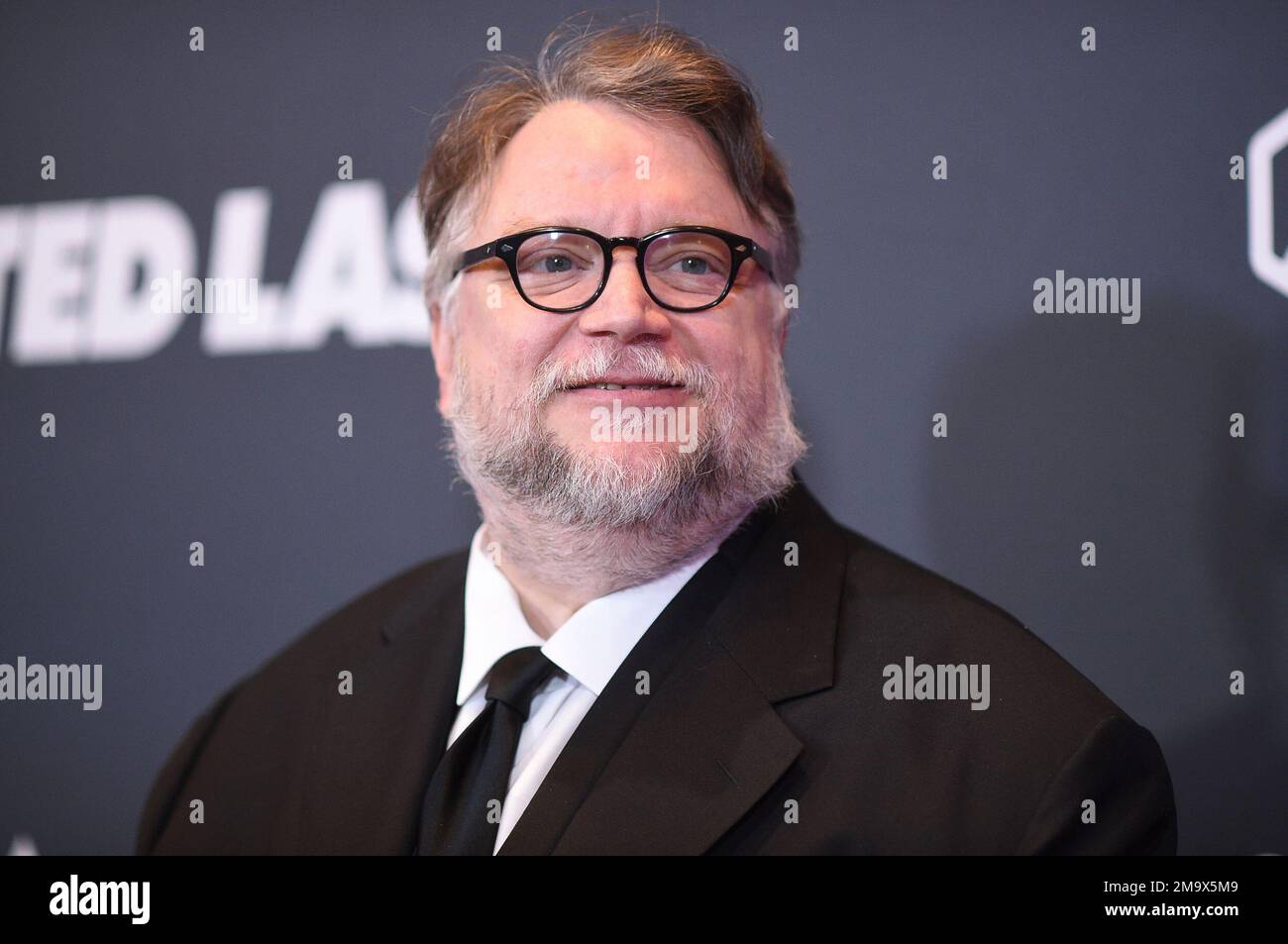 Guillermo del Toro arrives at the 2nd annual Celebration of Latino ...