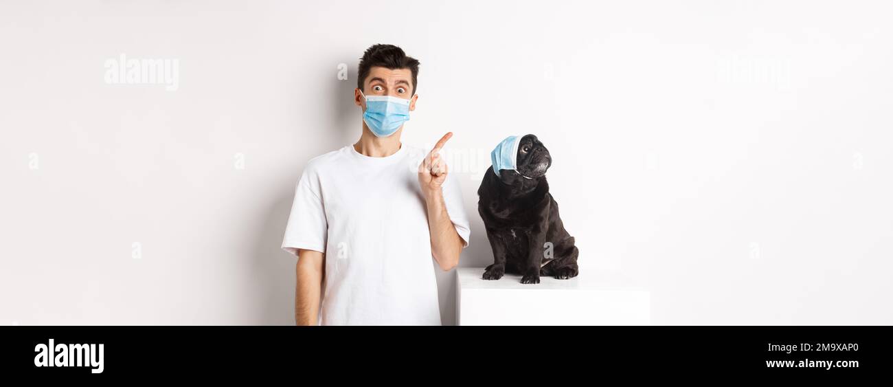 Covid-19, animals and quarantine concept. Dog owner and cute black pug ...