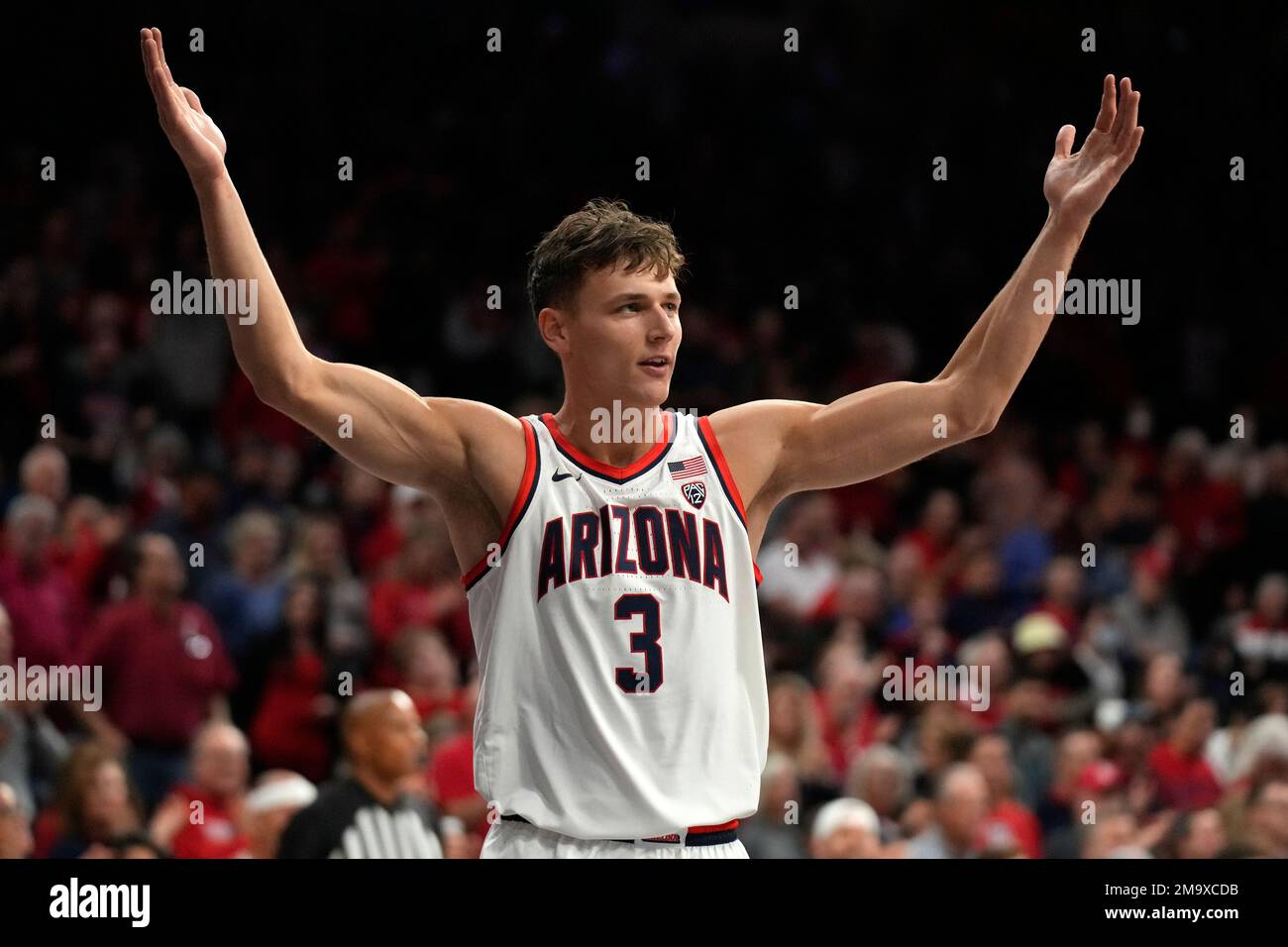 Arizona guard Pelle Larsson (3) during the first half of an NCAA ...