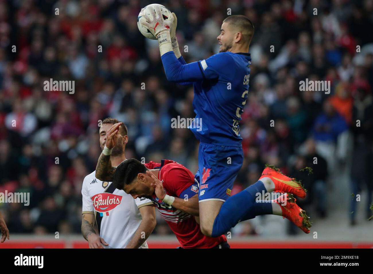 Lille's goalkeeper Lucas Chevalier catches the ball during the French ...