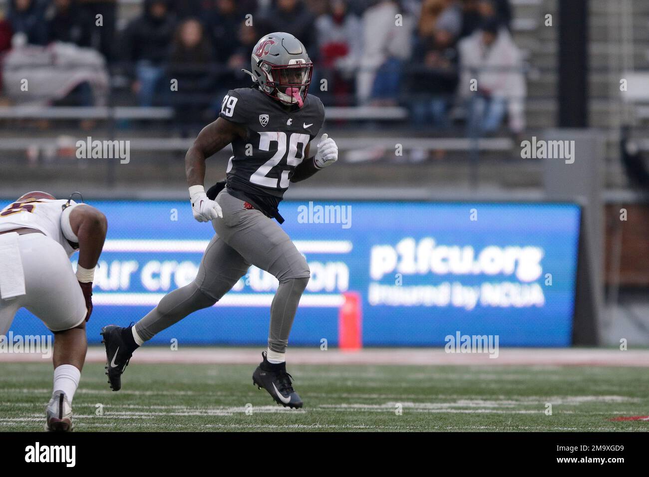 Washington State running back Jaylen Jenkins (29) runs on the field ...
