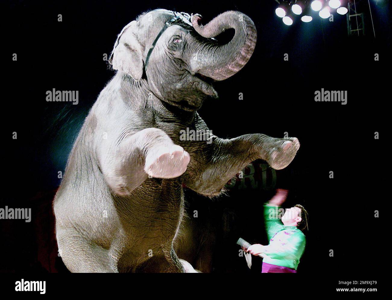 Fort gordon base hi-res stock photography and images - Alamy