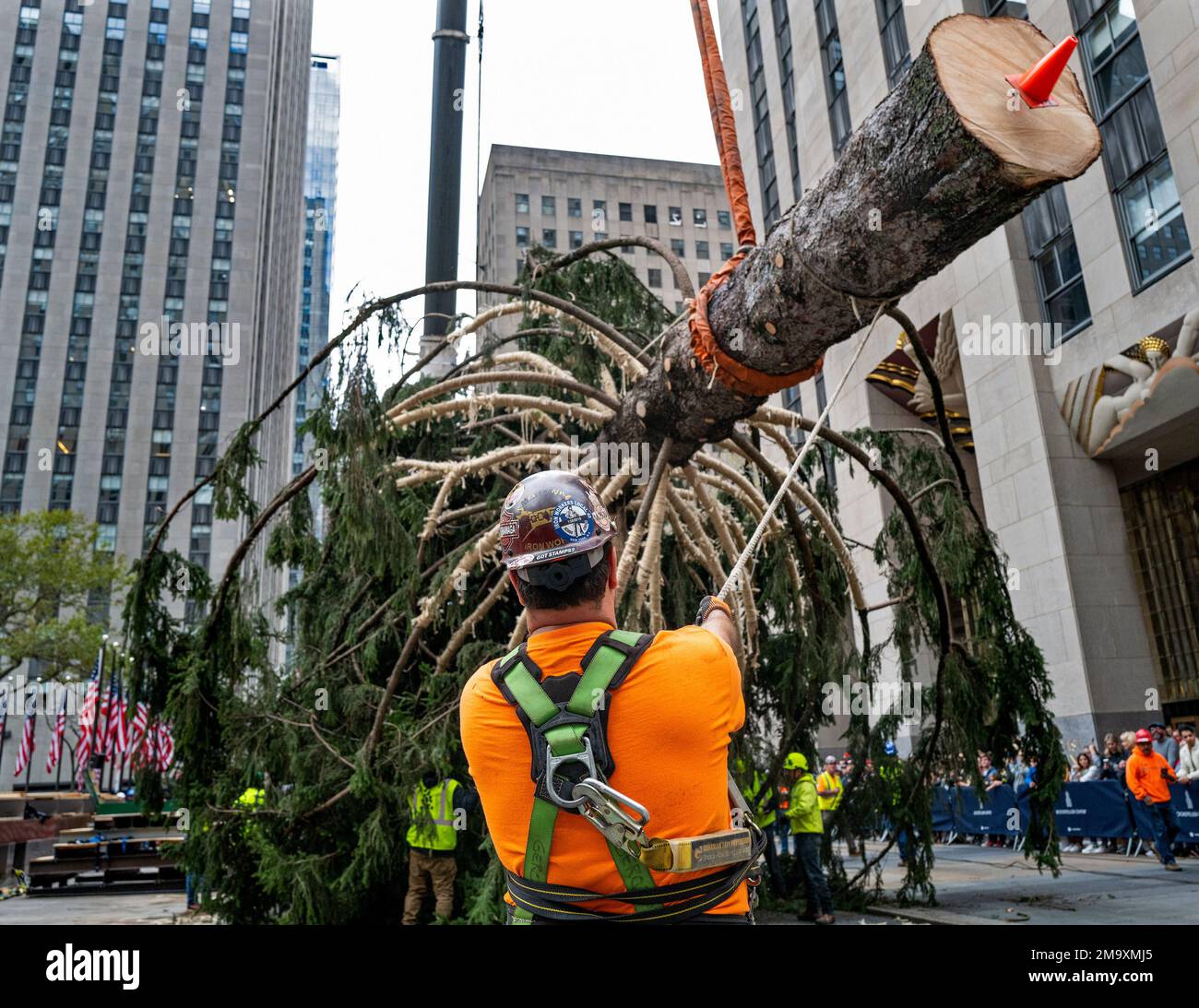 Workers steady the 2022 Rockefeller Center Christmas tree as a crane ...