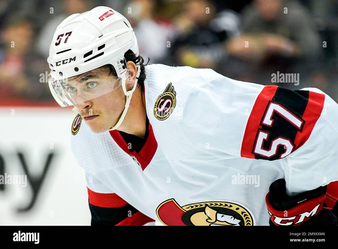 Ottawa Senators center Shane Pinto during an NHL hockey game against ...