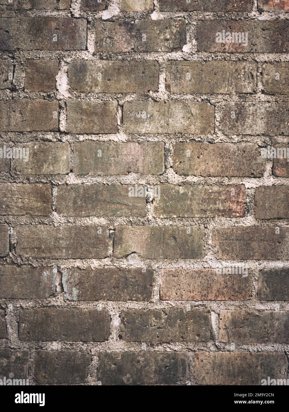 brick wall decorate in the wall and morning sun light shining Stock ...