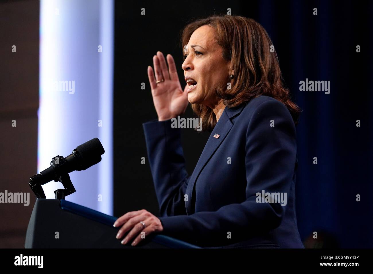 Vice President Kamala Harris speaks at Howard Theatre in Washington ...