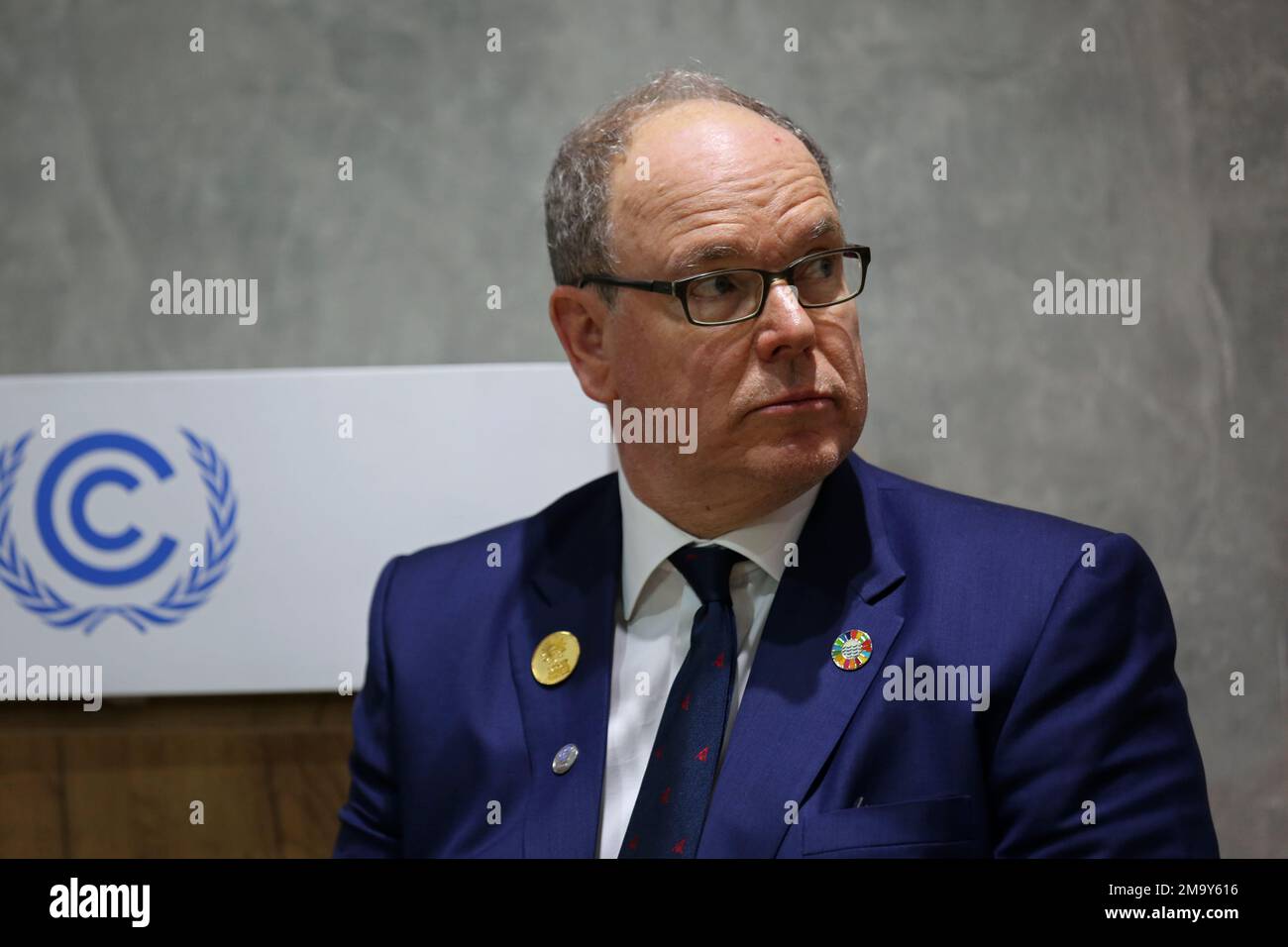 Prince Albert II of Monaco attends a panel discussion titled, “Beyond ...