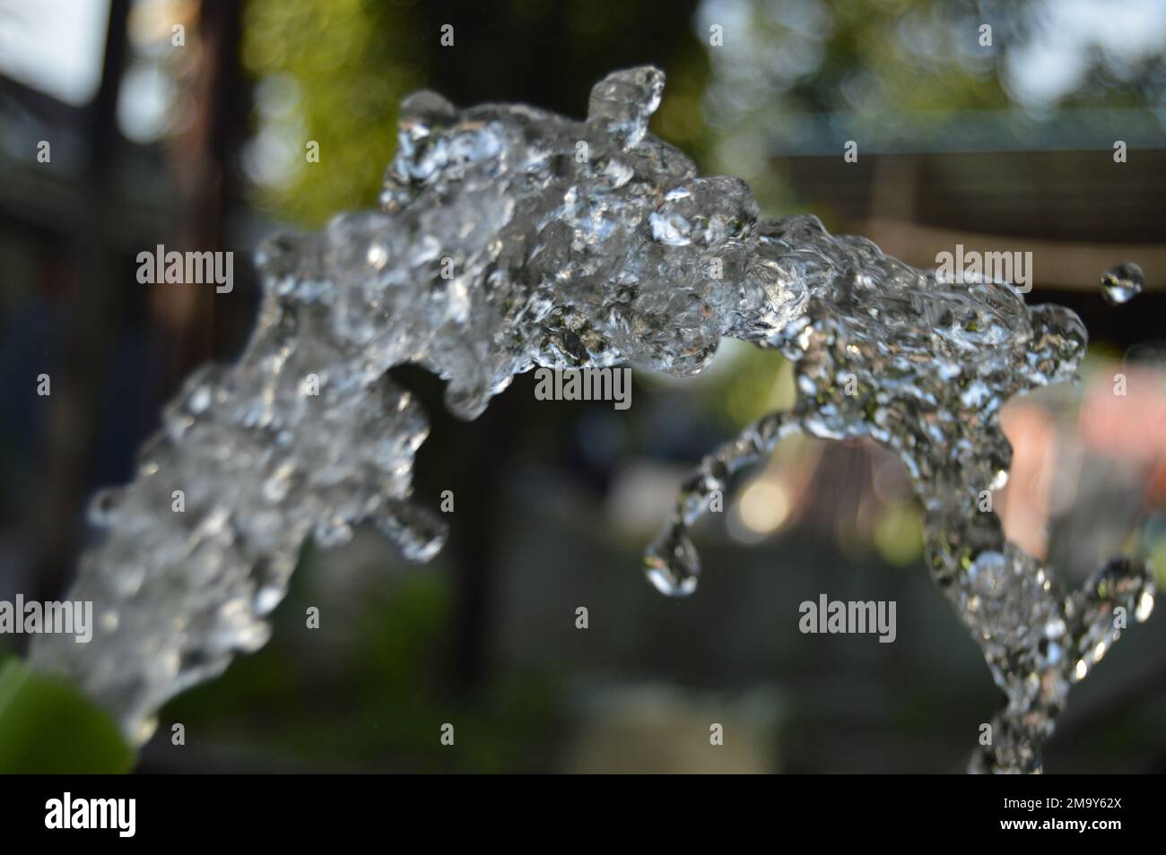Water spraying from garden hi-res stock photography and images - Alamy
