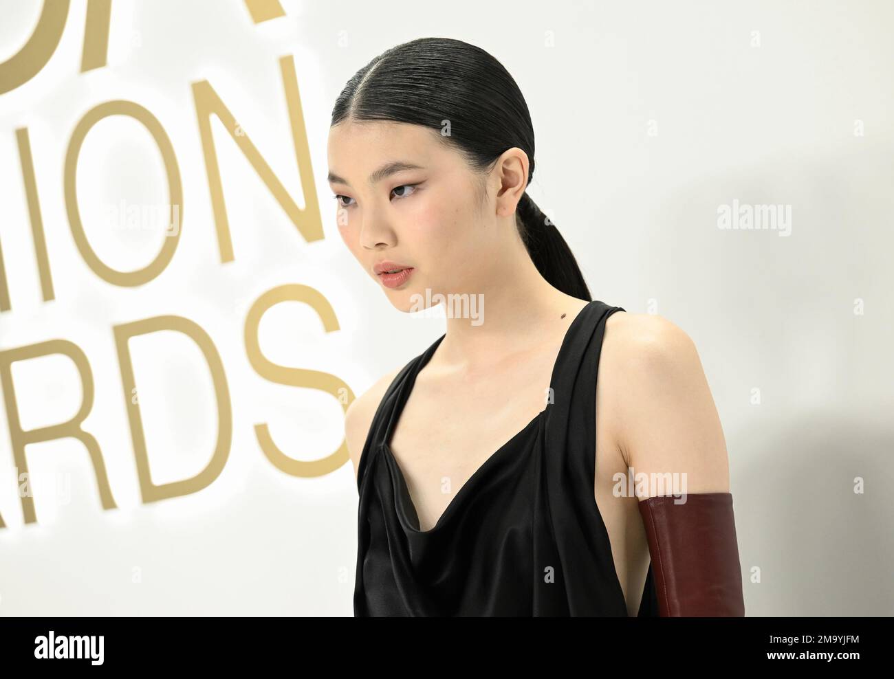 Sherry Shi attends the CFDA Fashion Awards at Cipriani South Street on ...