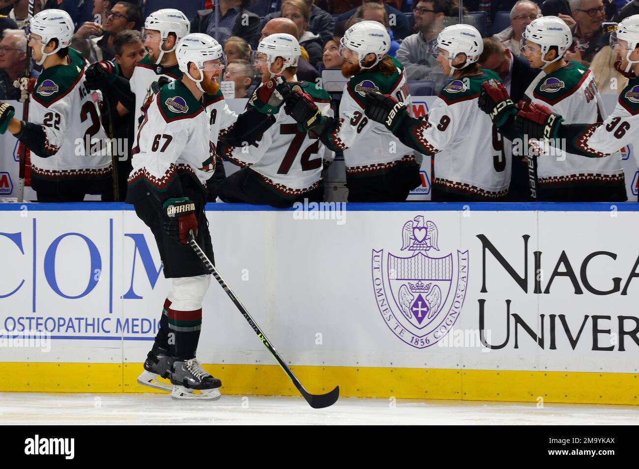 Arizona Coyotes left wing Lawson Crouse (67) celebrates after his goal ...